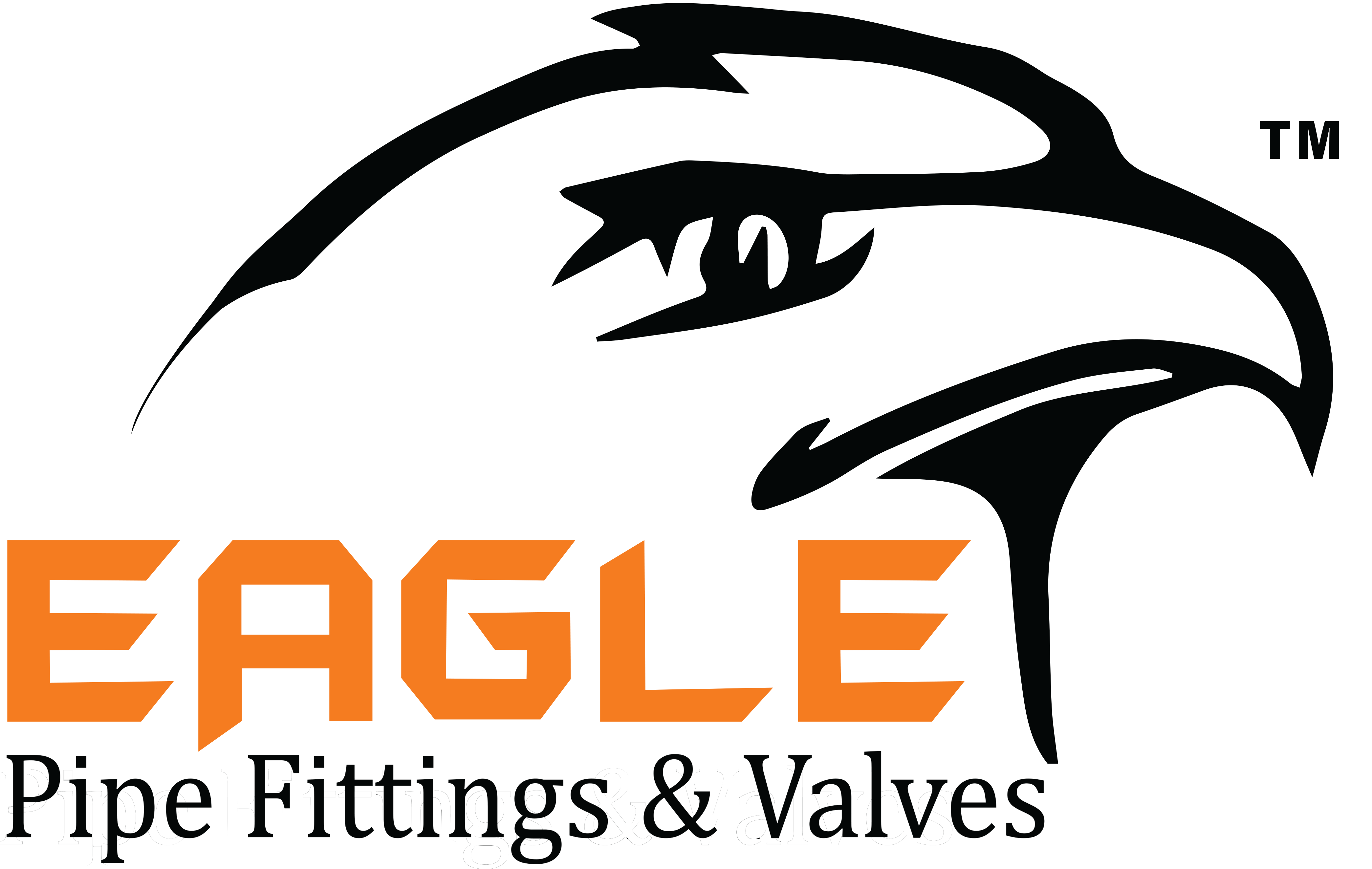 Eagle Pipe Fitting and Valves