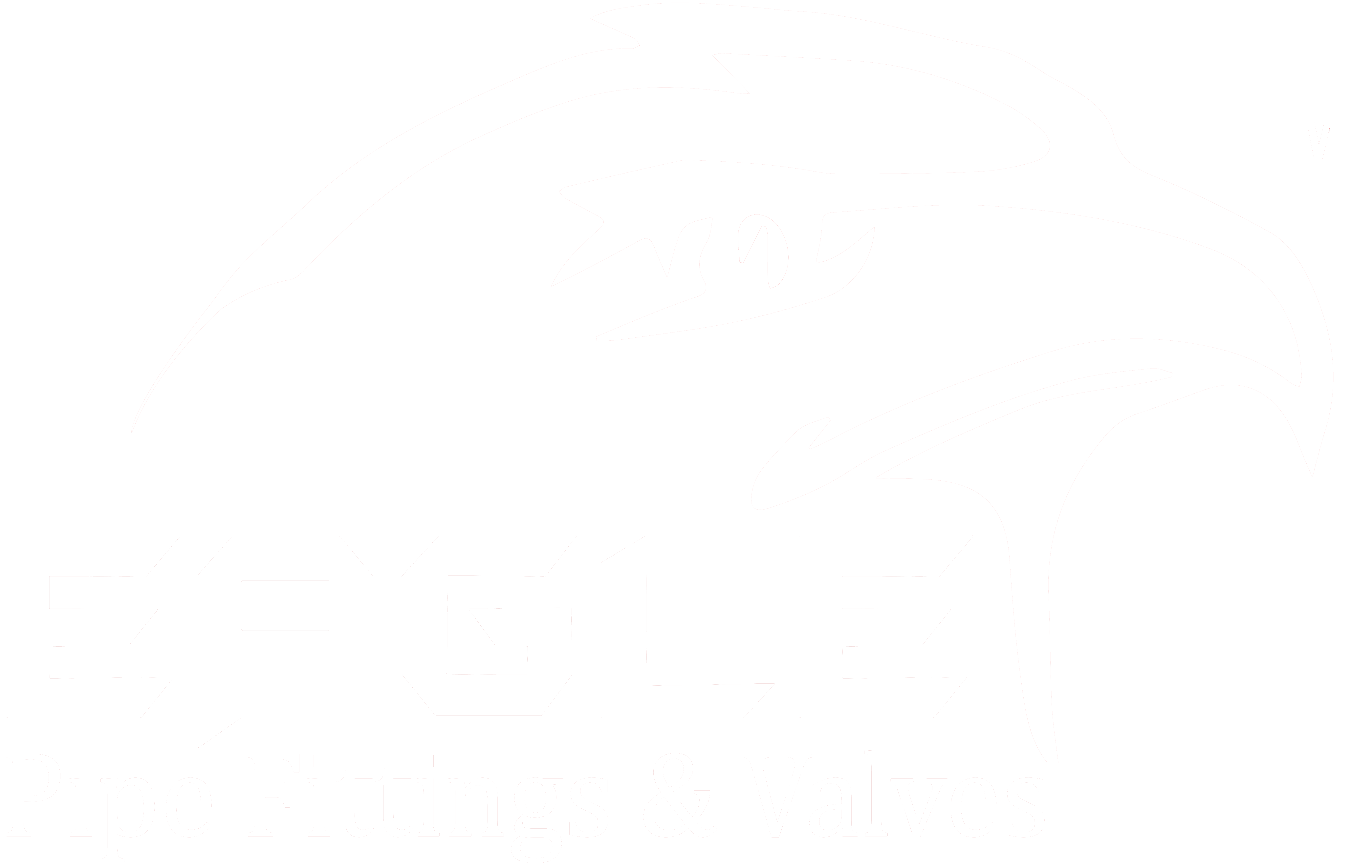 Eagle Pipe Fitting and Valves